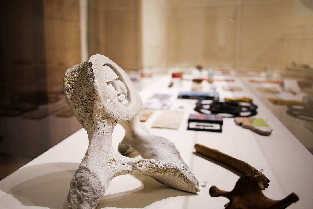 The Darkened Mirror: Global Perspectives on Water | San José Museum of Art