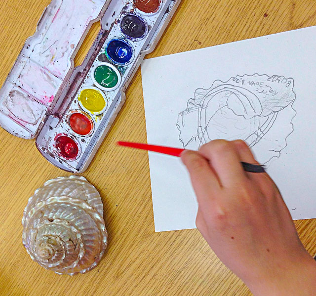 Art 101: Natural Scientific Illustration | San José Museum of Art