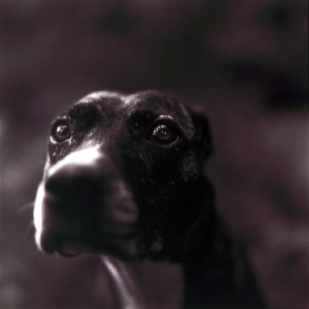 Keith Carter: Poet of the Ordinary | San José Museum of Art