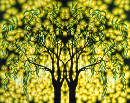 Evocations: Sharon Ellis, 1991-2001 | San José Museum of Art
